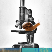 our history and mission – slow science in belgium